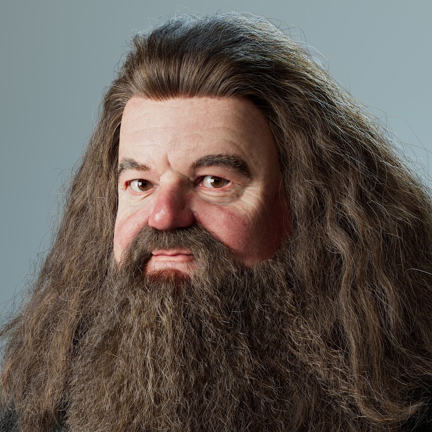 ArtStation - Hagrid