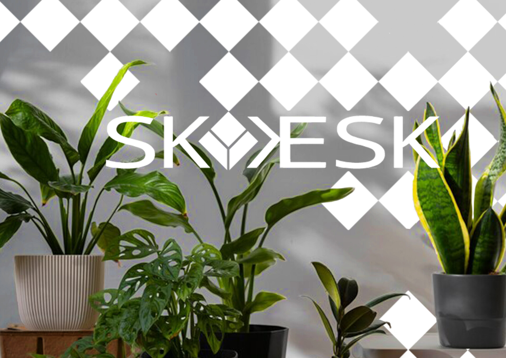 ArtStation - skydesk