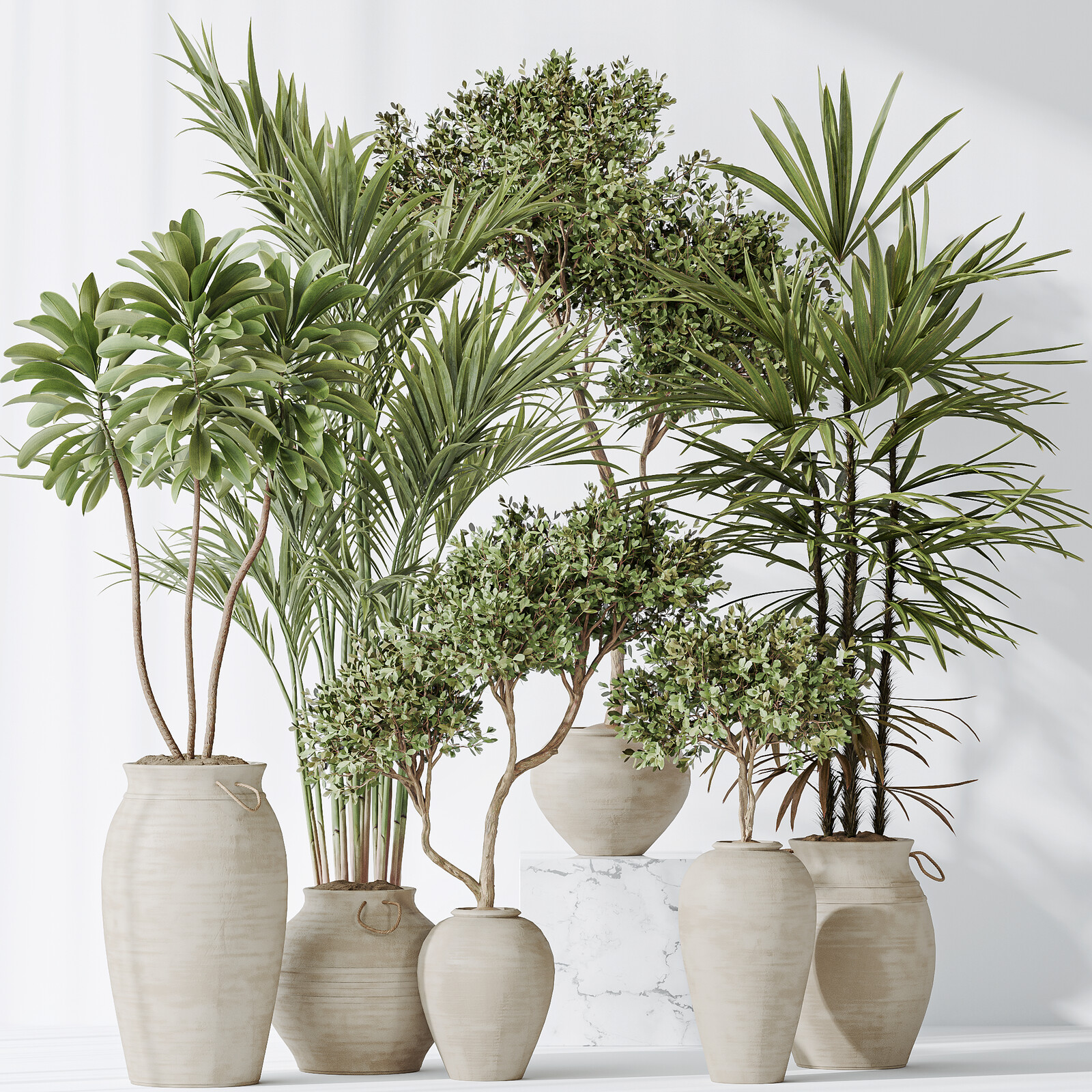 PANDORA Land - Indoor plants set 87 Mission Olive and Areca Reed Palm ...