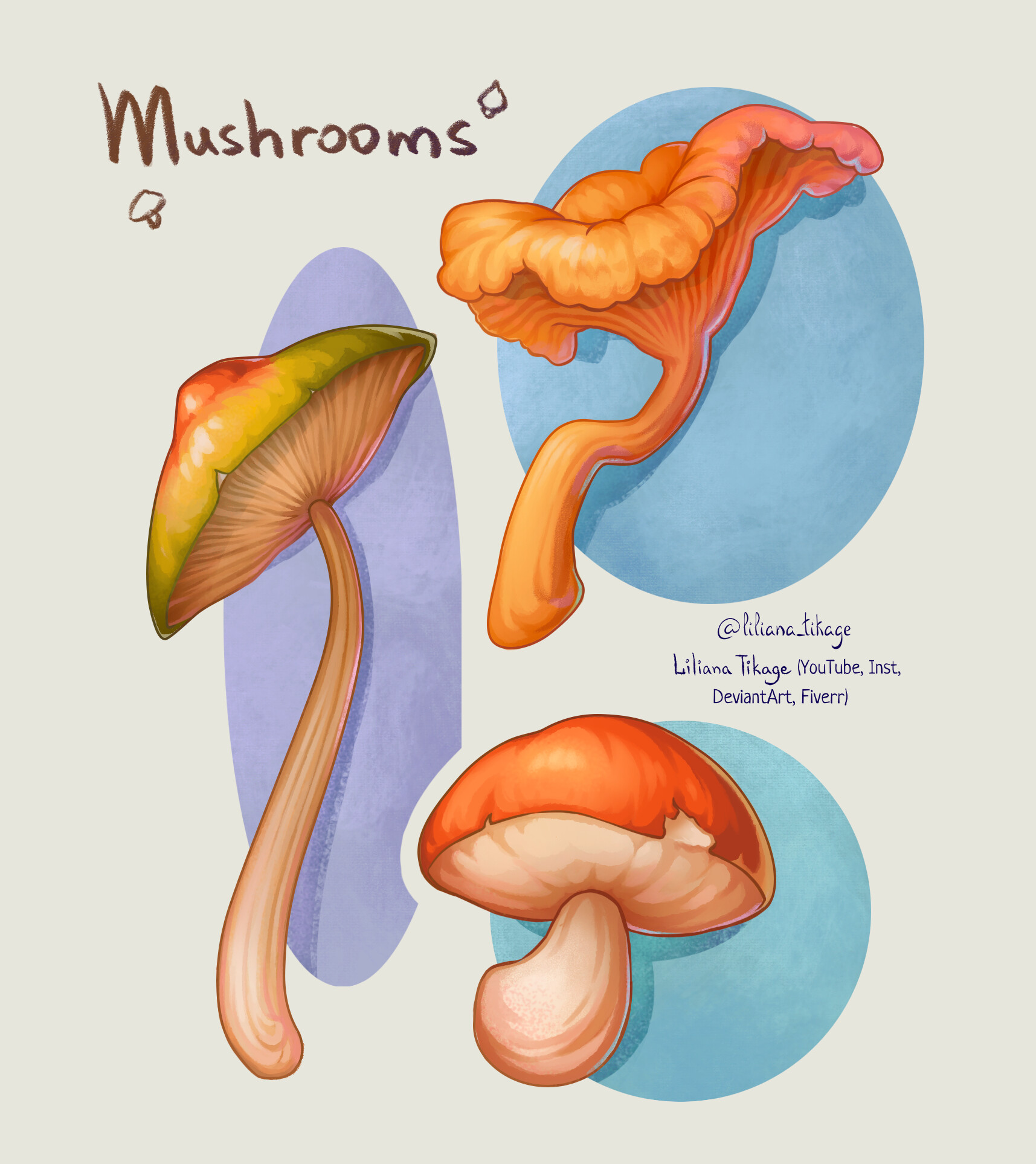 ArtStation - Mushrooms