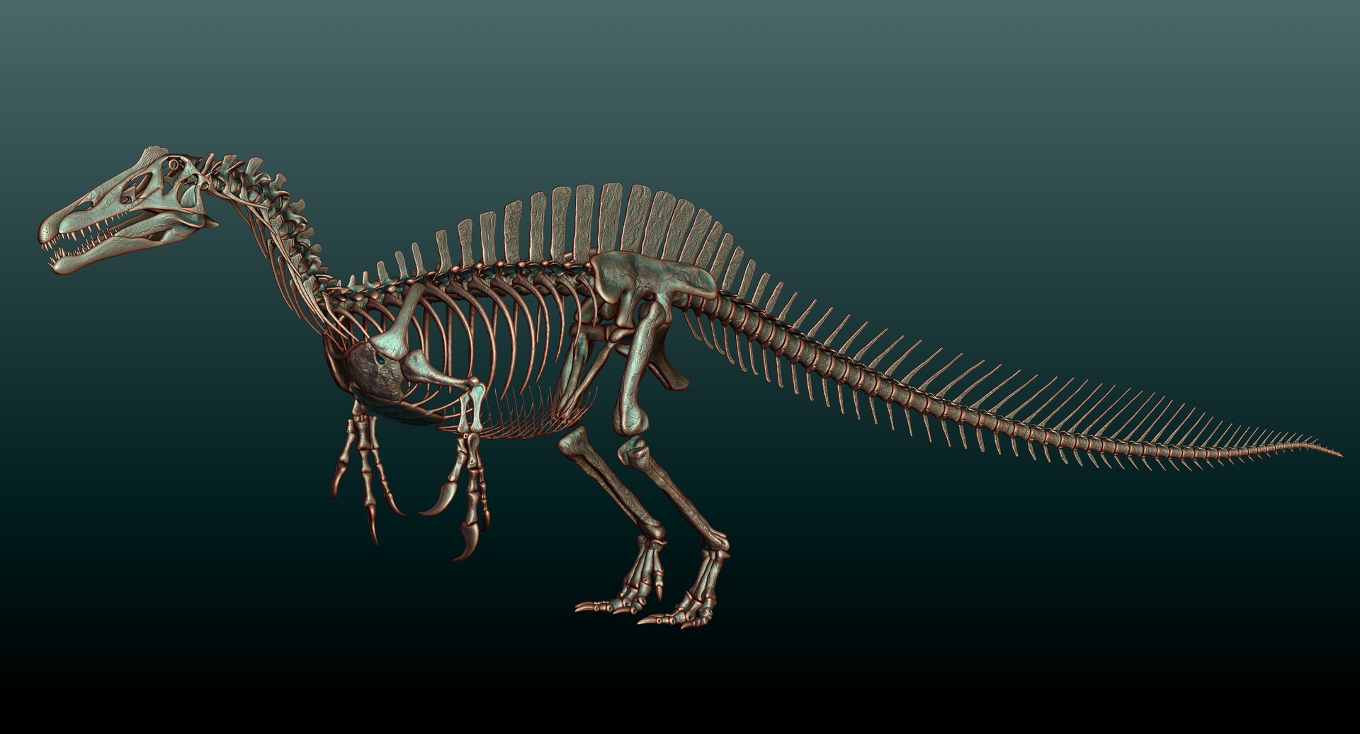 Siamosaurus Skeleton
