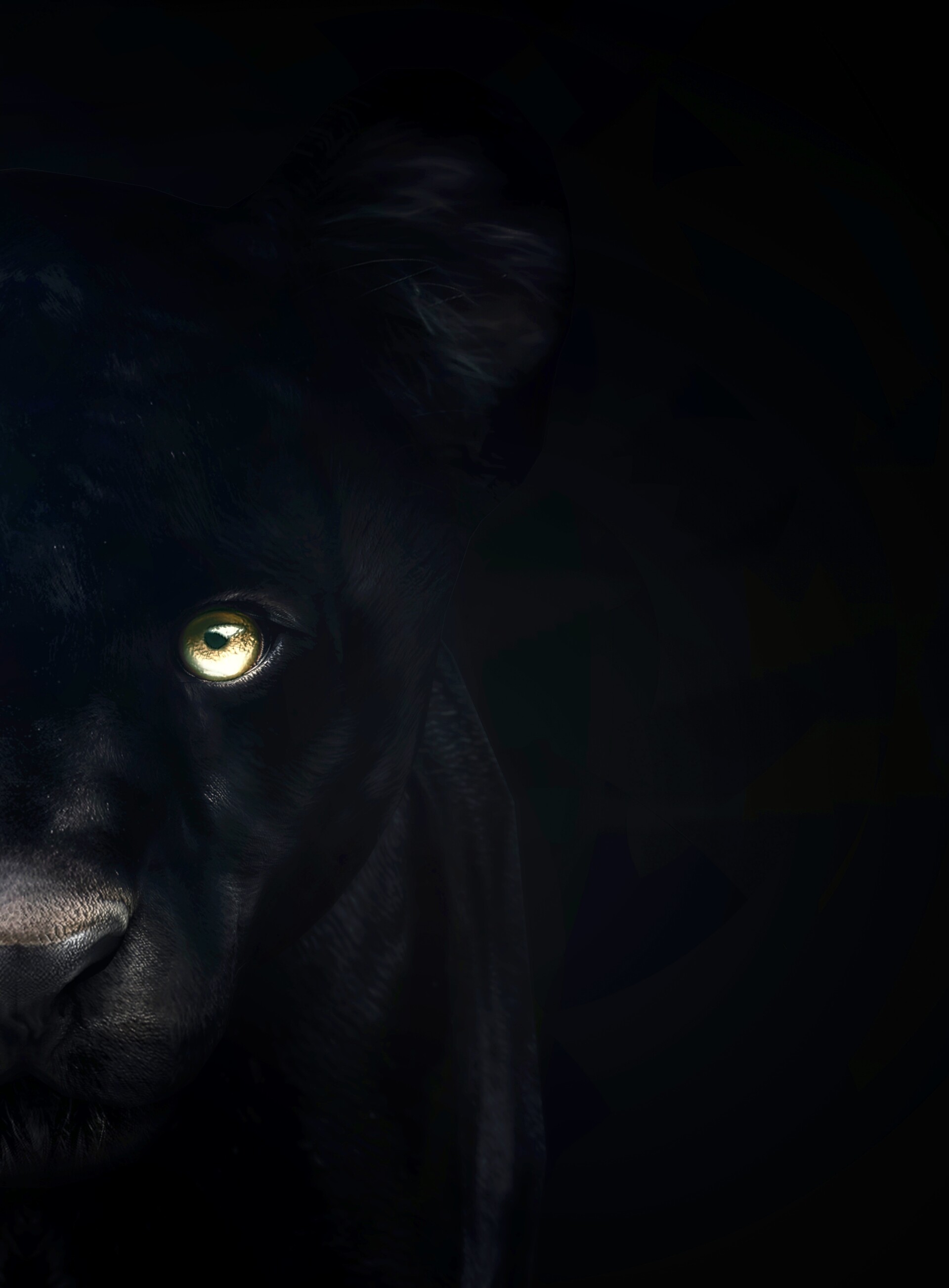 ArtStation - 3D render Panther work in progress 3ds Max