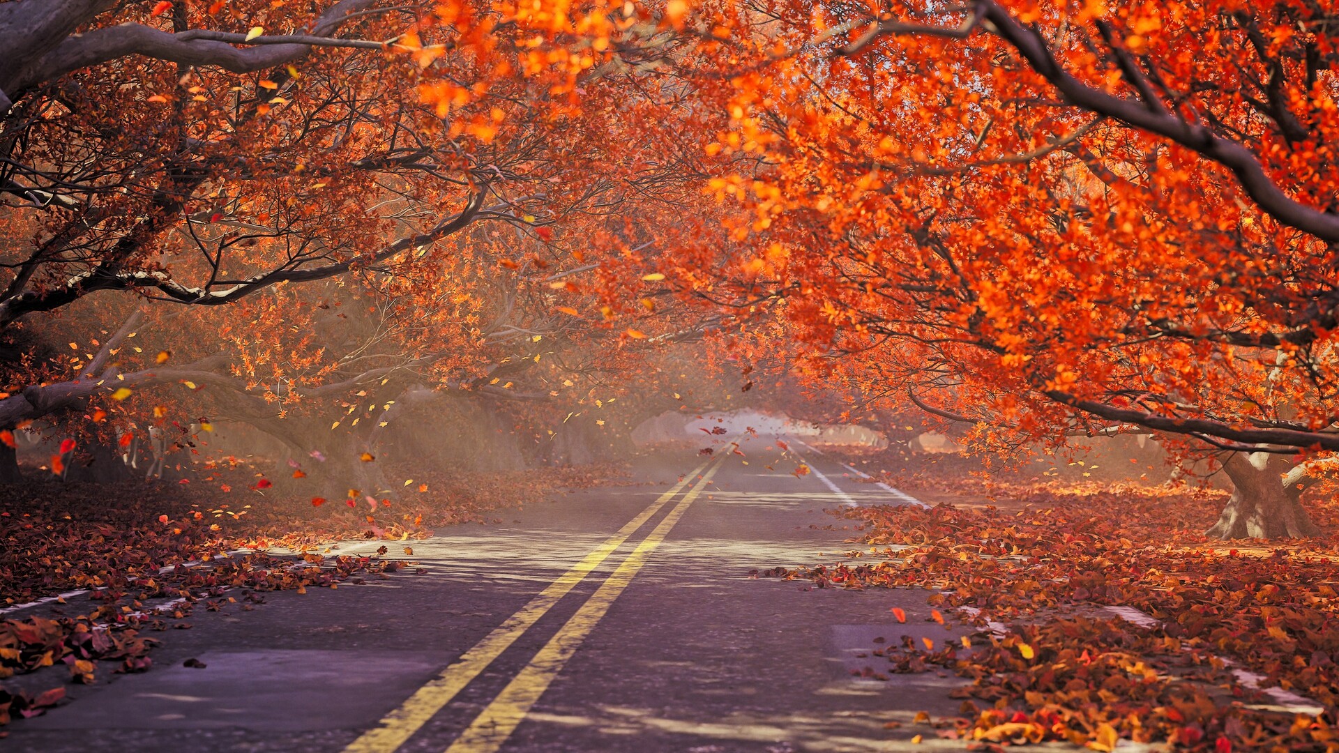 ArtStation - Red path