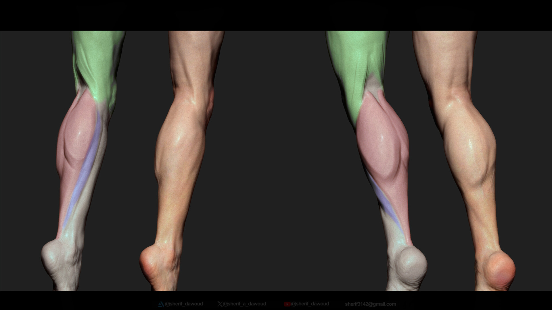 Sherif Dawoud | 3D Game Artist - Leg Animation - Zbrush