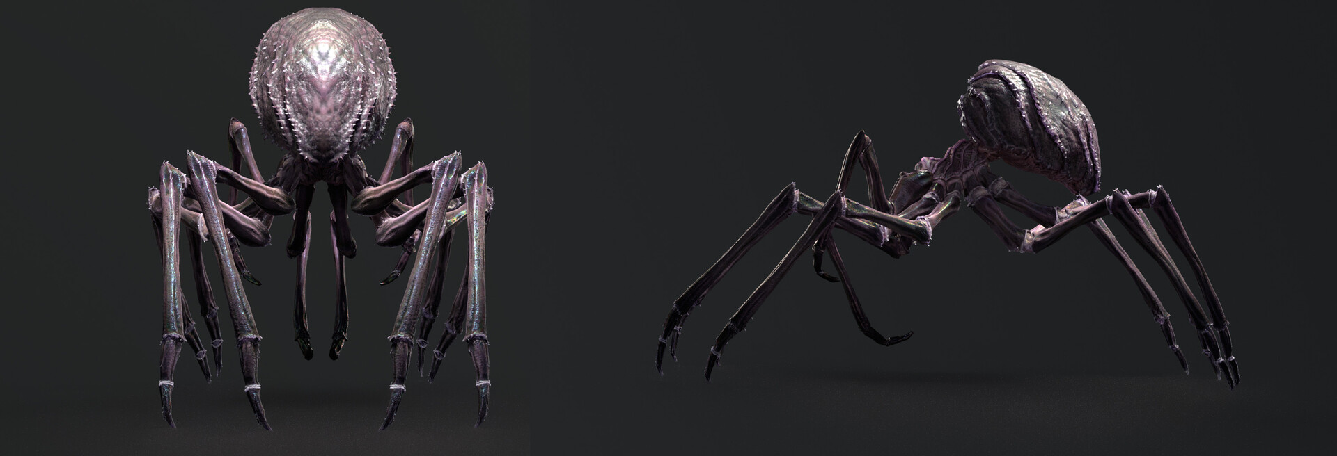 Alex Lucas - were-insect spider concept