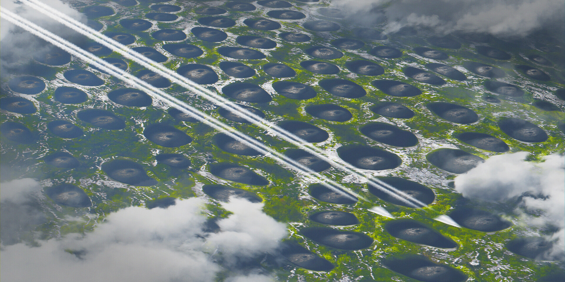 ArtStation - The trypo fields