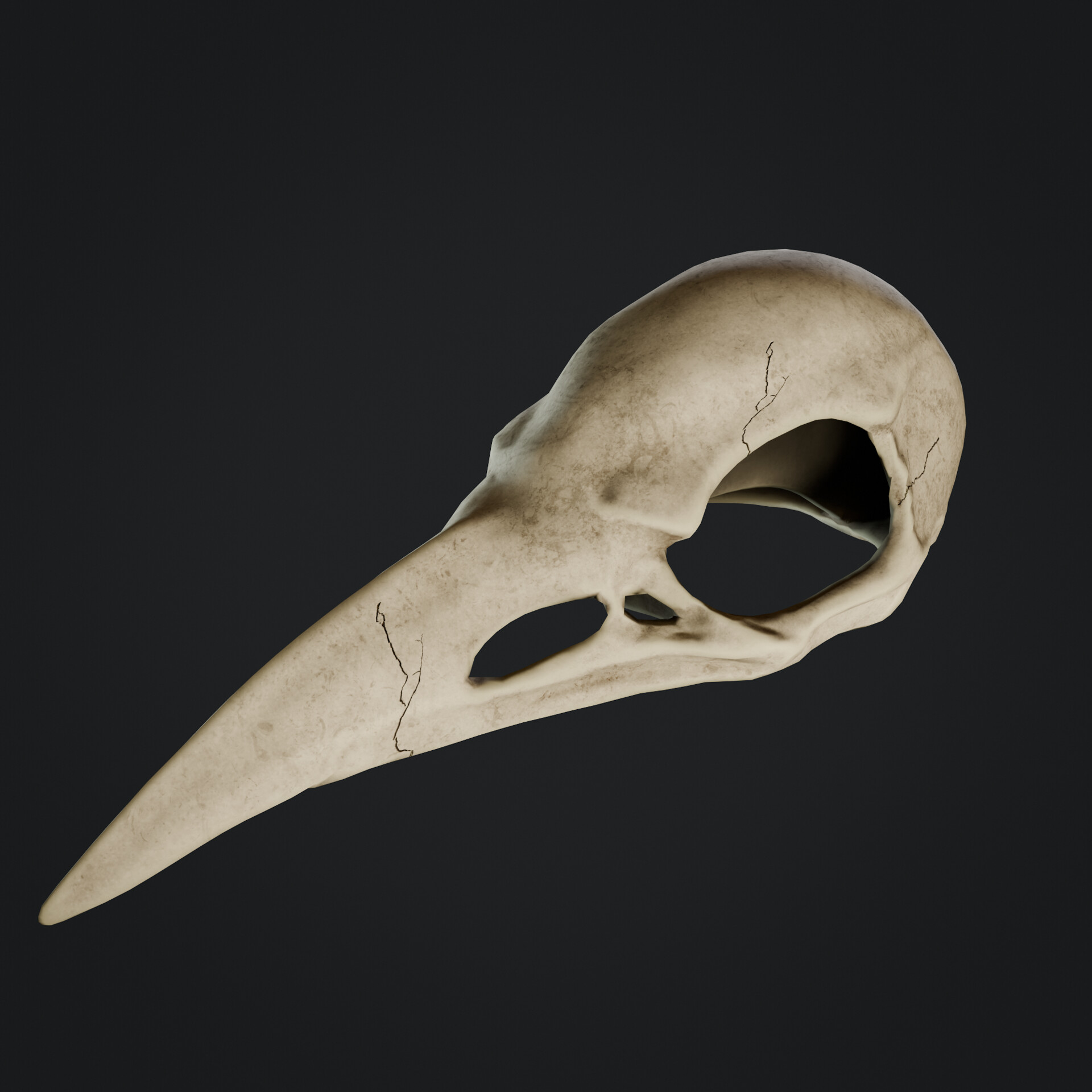 ArtStation - Bird skull
