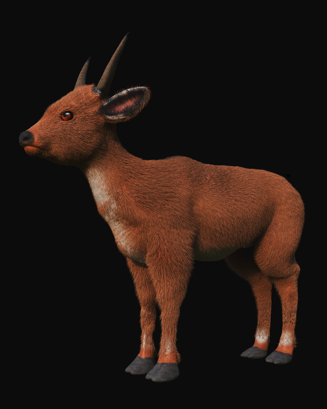 ArtStation - Deer 3d model