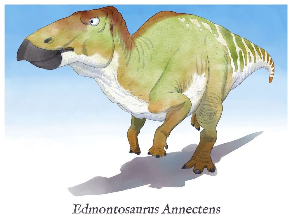 ArtStation - Dinosaurs from A to Z - E is for Edmontosaurus