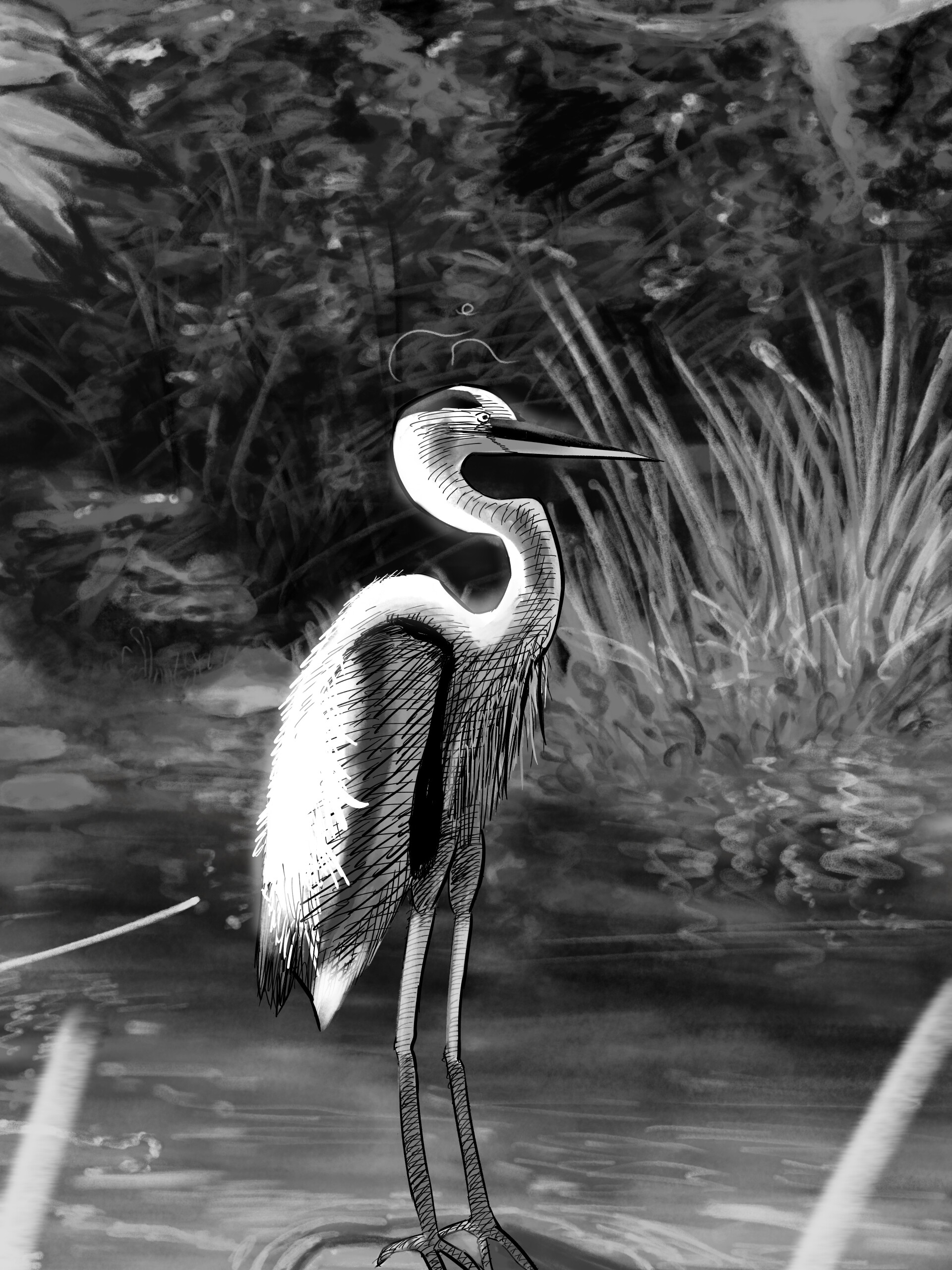 ArtStation - Relaxed bird