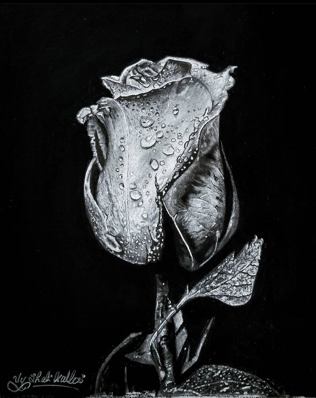 ArtStation - Charcoal & pencil drawing