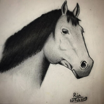 how to draw a horse markcrilley