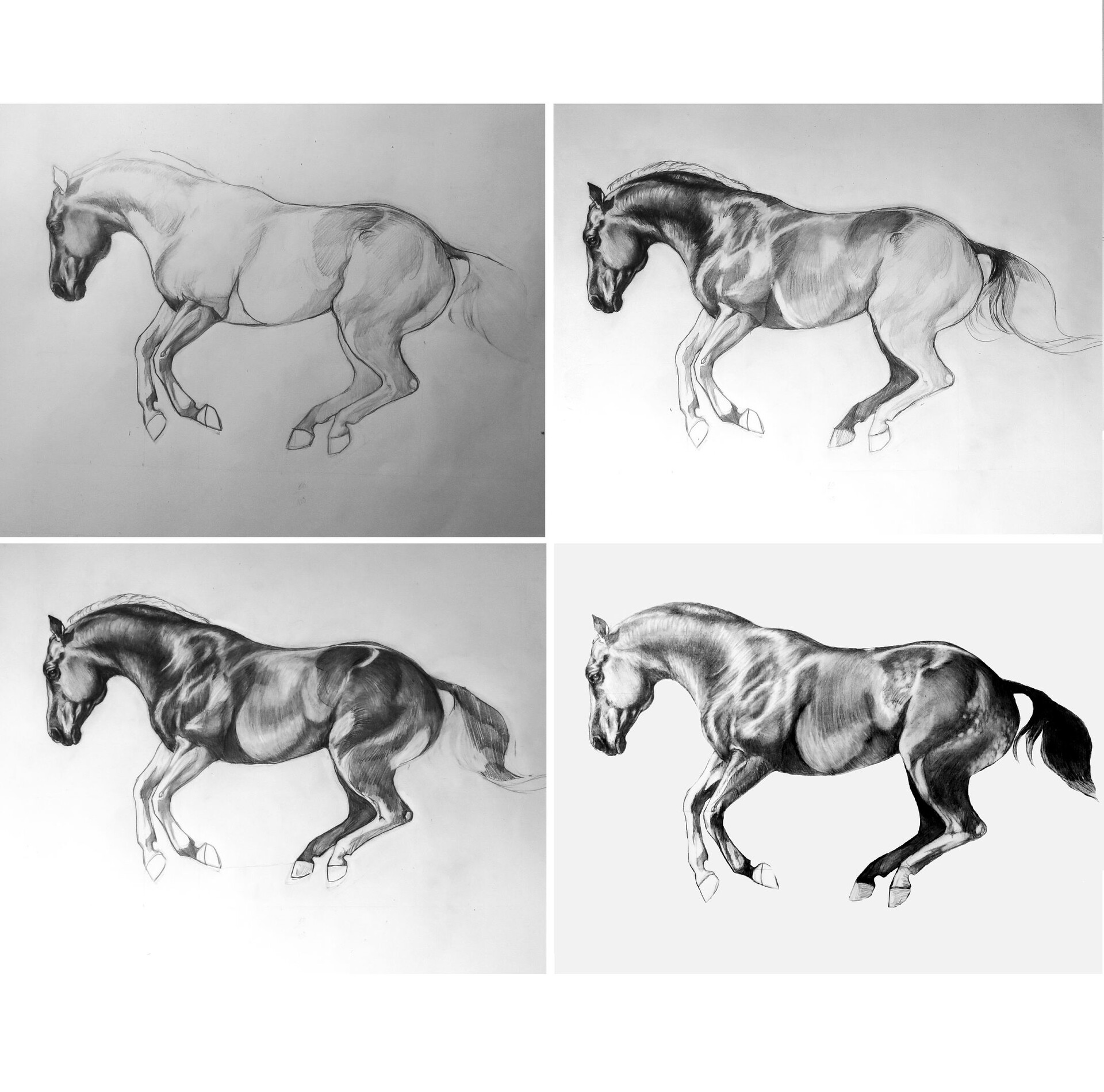 ArtStation - Horse Drawing Process
