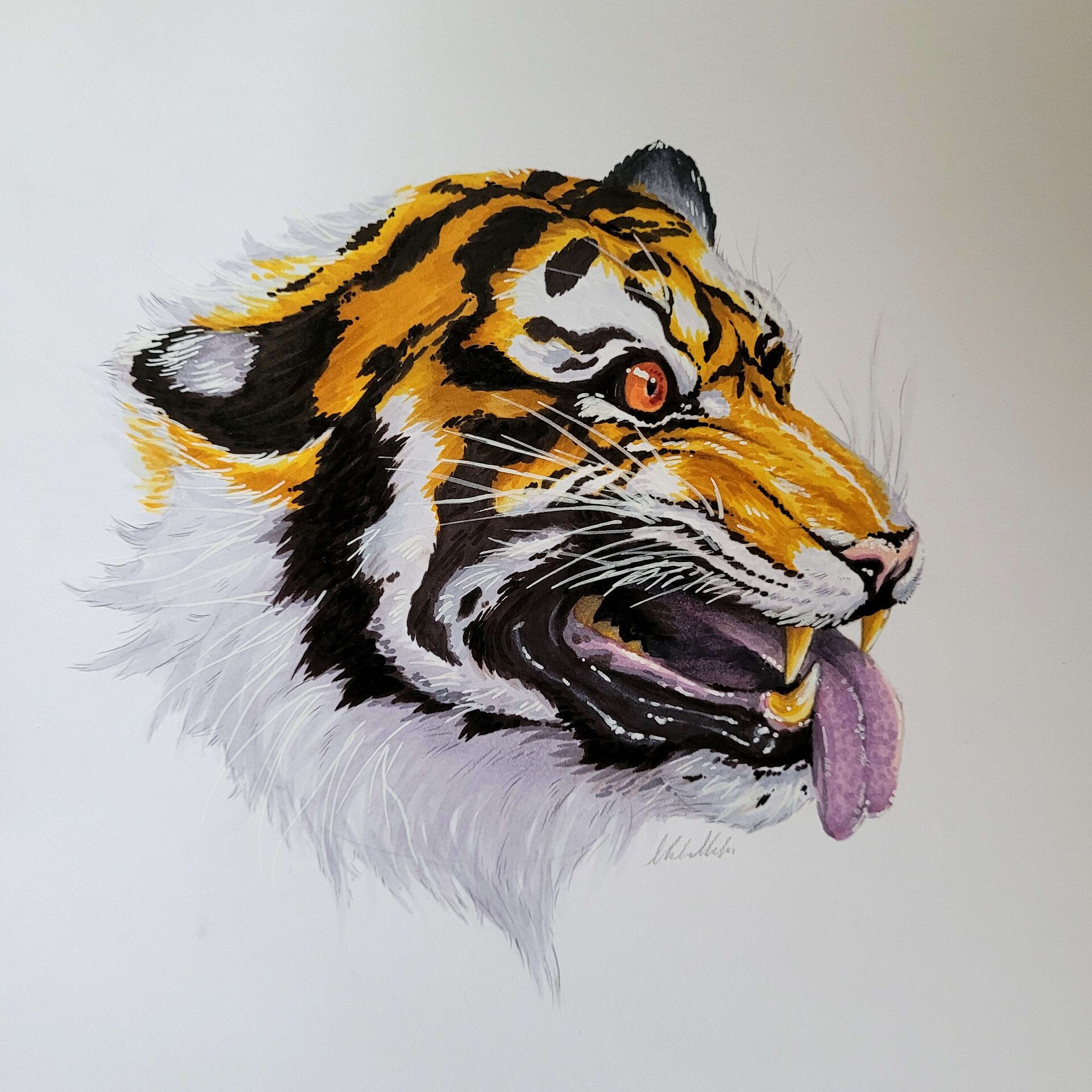 ArtStation - Practice - Tiger
