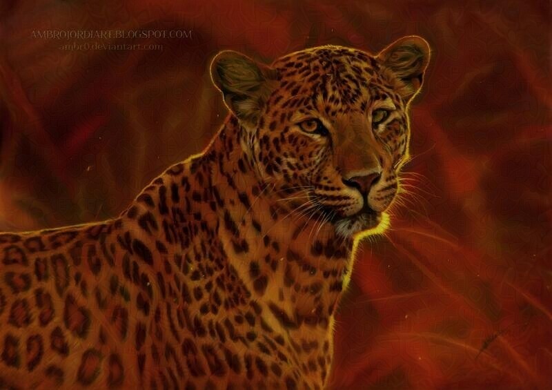 ArtStation - Leopard Drawing Realistic + Video