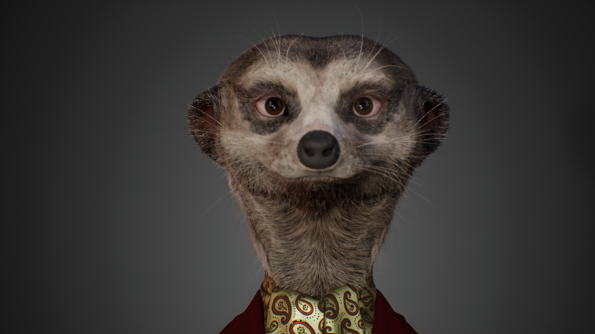 ArtStation - Meerkat - Character Real Time