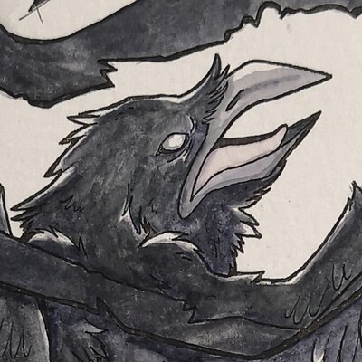 how to draw the frozen raven