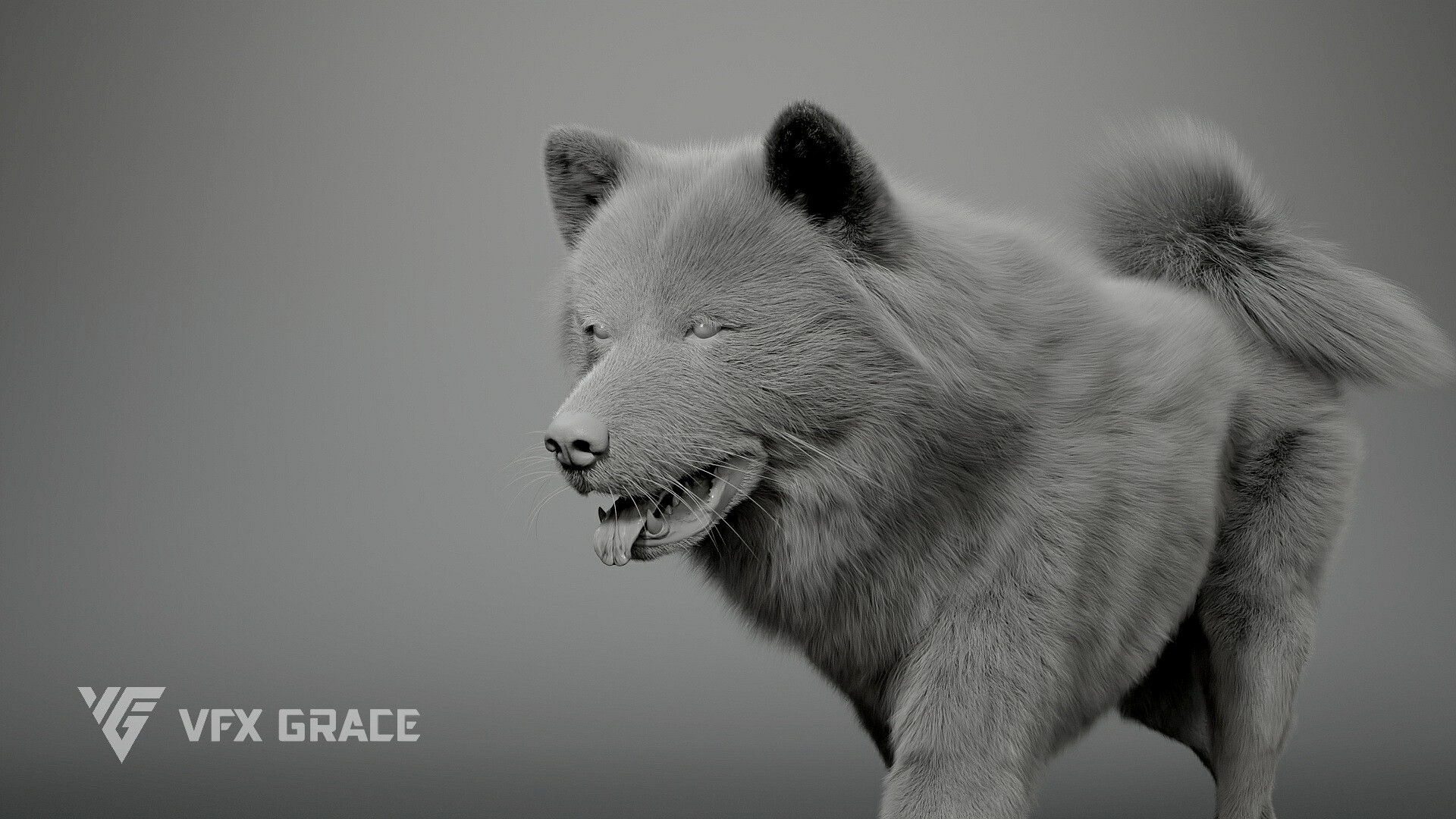 VFX models - Akita Dog Animated - MAYA Character Asset