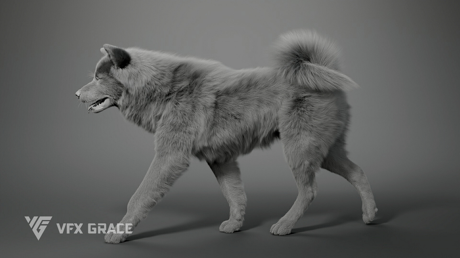 VFX models - Akita Dog Animated - MAYA Character Asset
