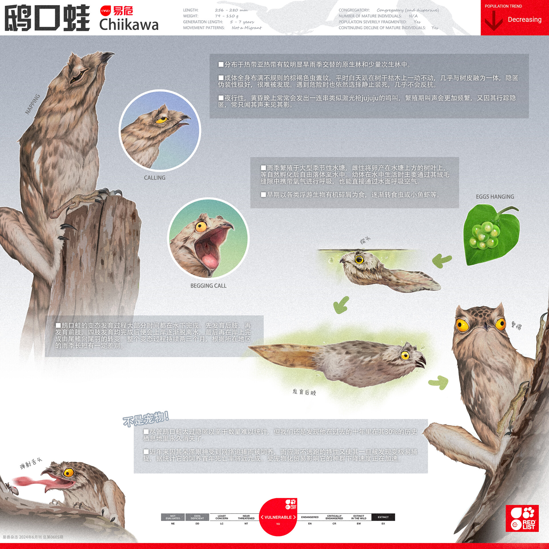 ArtStation - My Manga: Red List 06