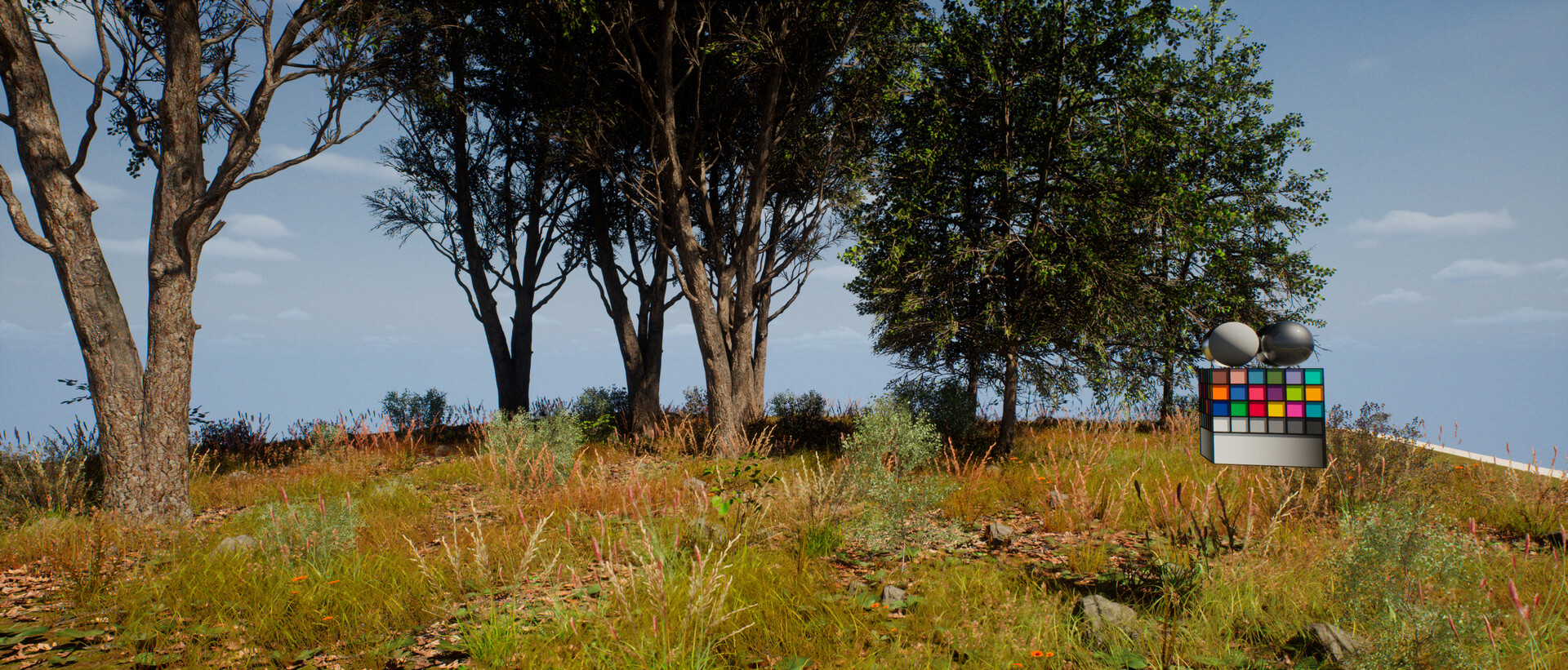 Andrew Dowell - UE5 Procedural Content Generator