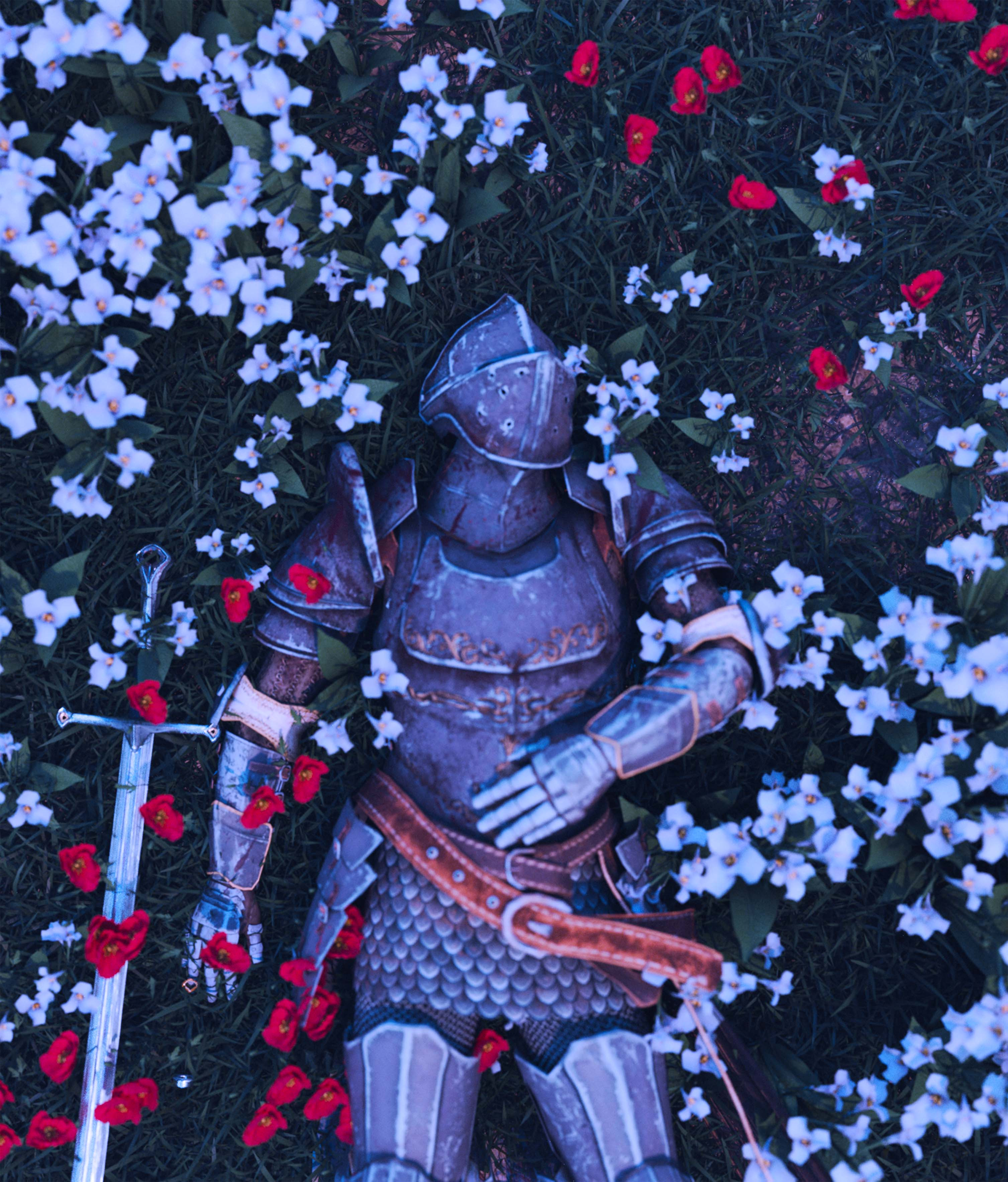 Ayush Chakravarty - "The Fallen Knight's Rest"