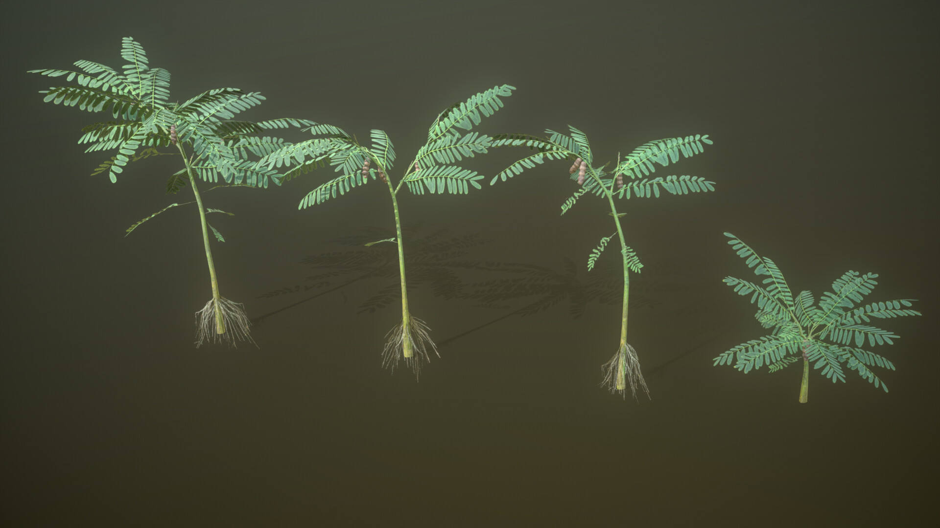 Mathy T - Harvestable Plants