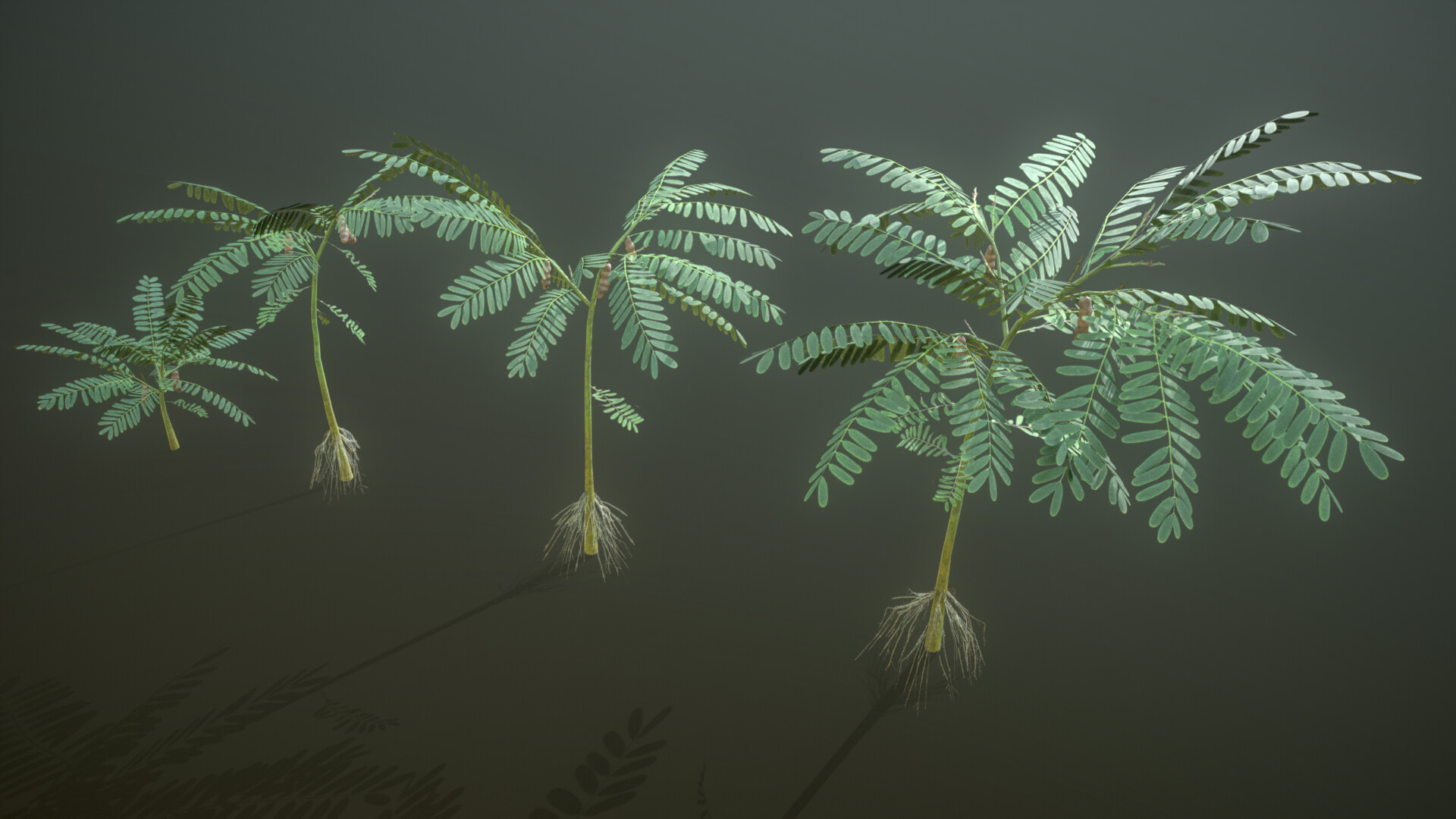 Mathy T - Harvestable Plants