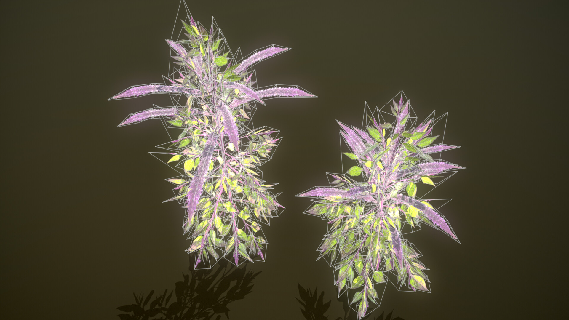 Mathy T - Harvestable Plants