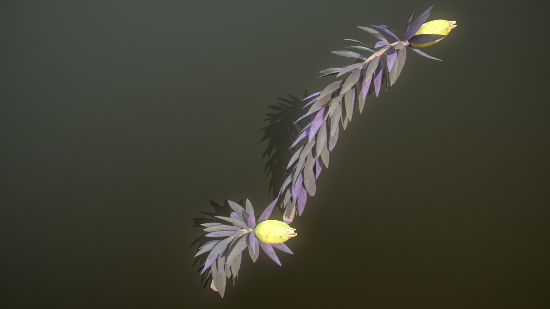 Mathy T - Harvestable Plants