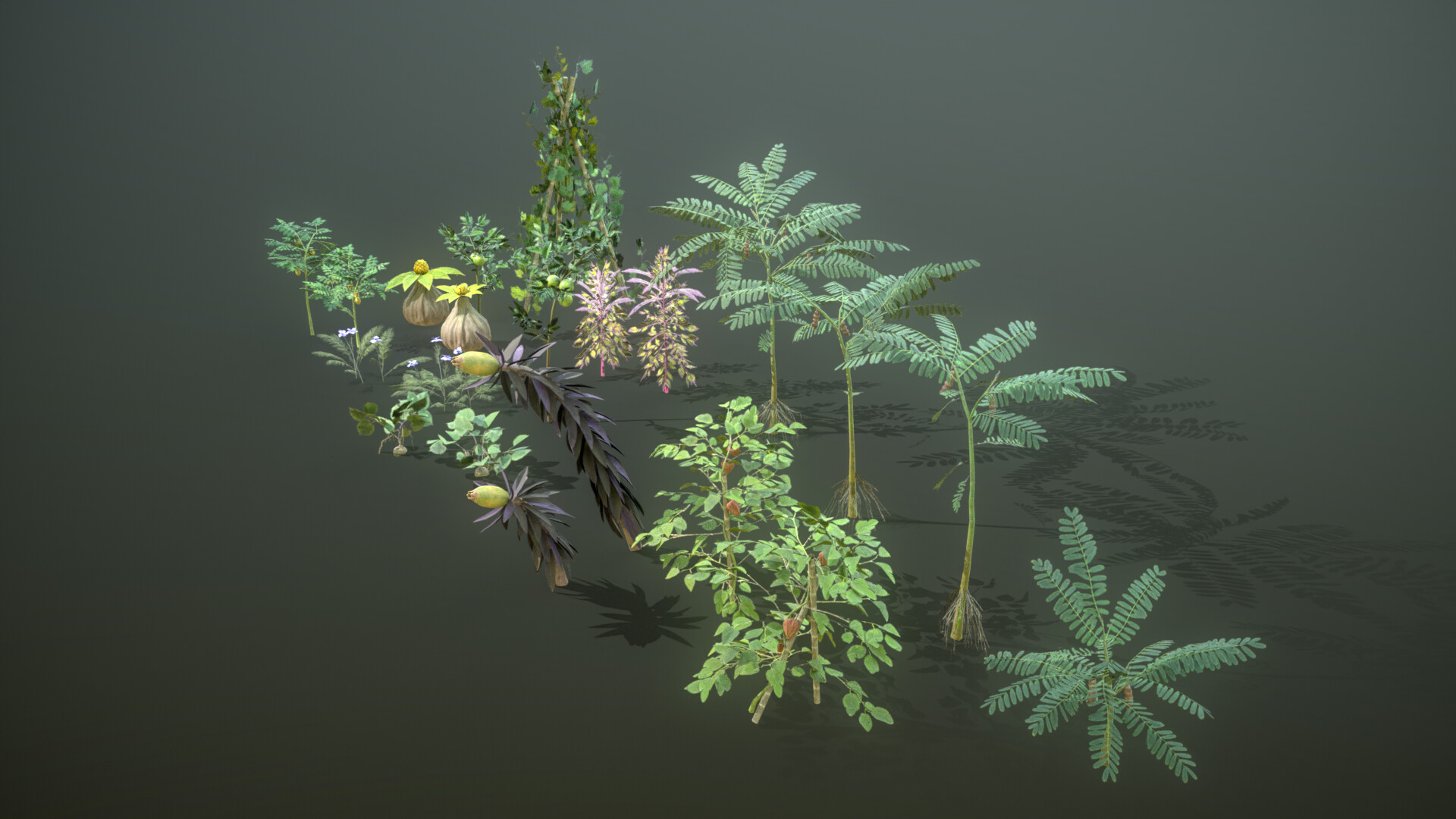 ArtStation - Harvestable Plants