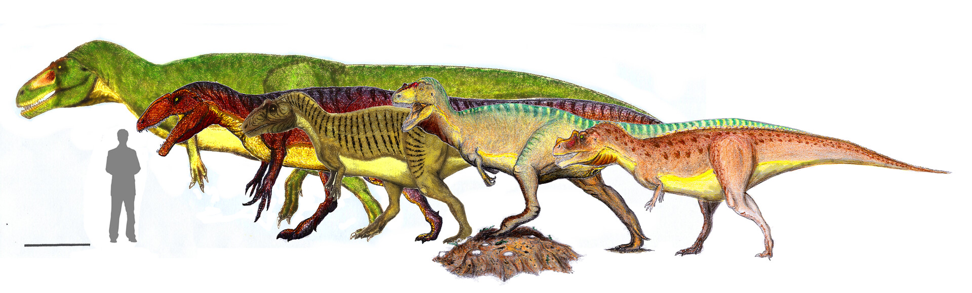 ArtStation - Carnivore dinosaurs of Upper Jurassic of Portugal (work in ...