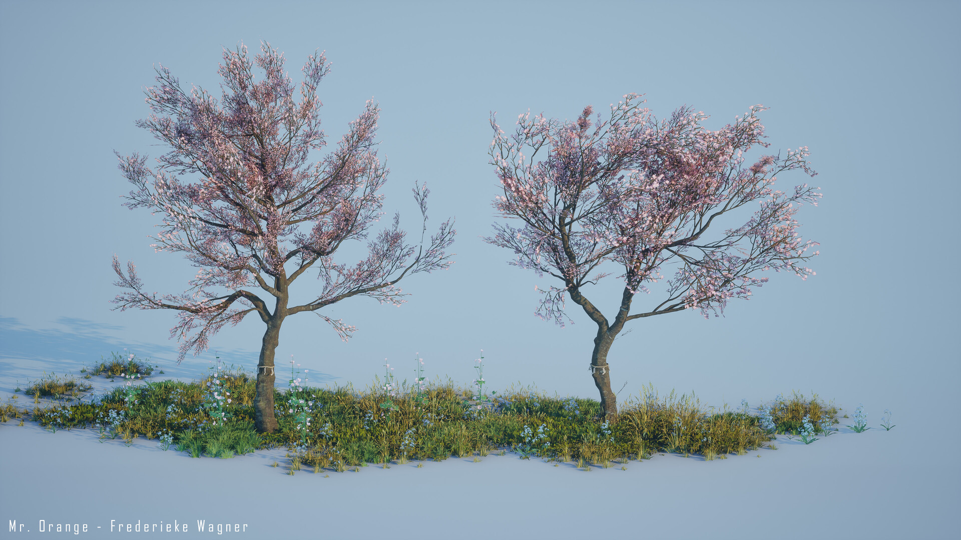 Frederieke Wagner - Mr. Orange's House