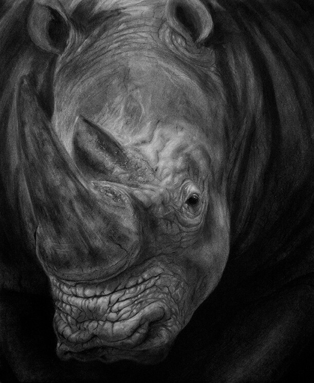 Randy Arrington - Rhino 1 - Charcoal