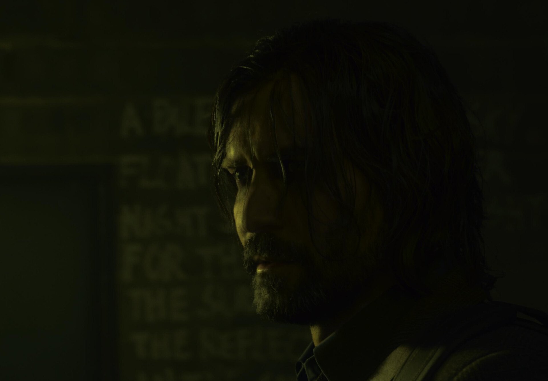 LITTLE RED ZOMBIES - Alan Wake II - Alan Wake Hair