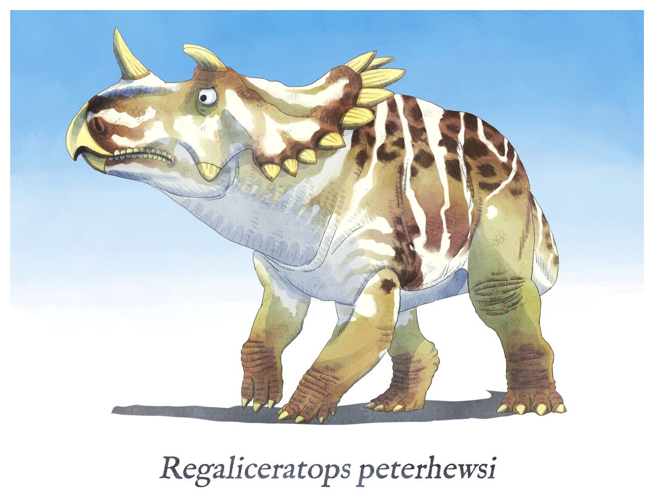 ArtStation - Dinosaurs from A to Z - R is for Regaliceratops