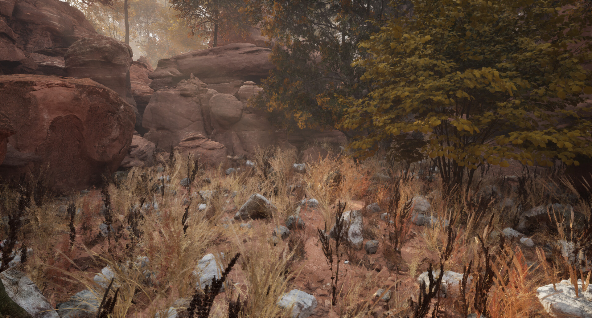 ArtStation - Moab Forest Paradise