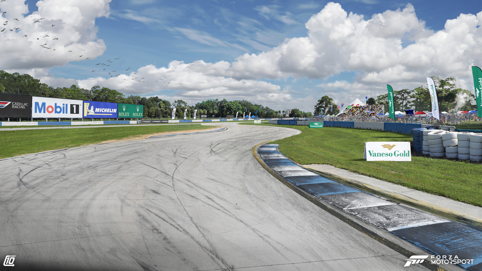 Sean Cruz - Forza Motorsport - Sebring International Raceway