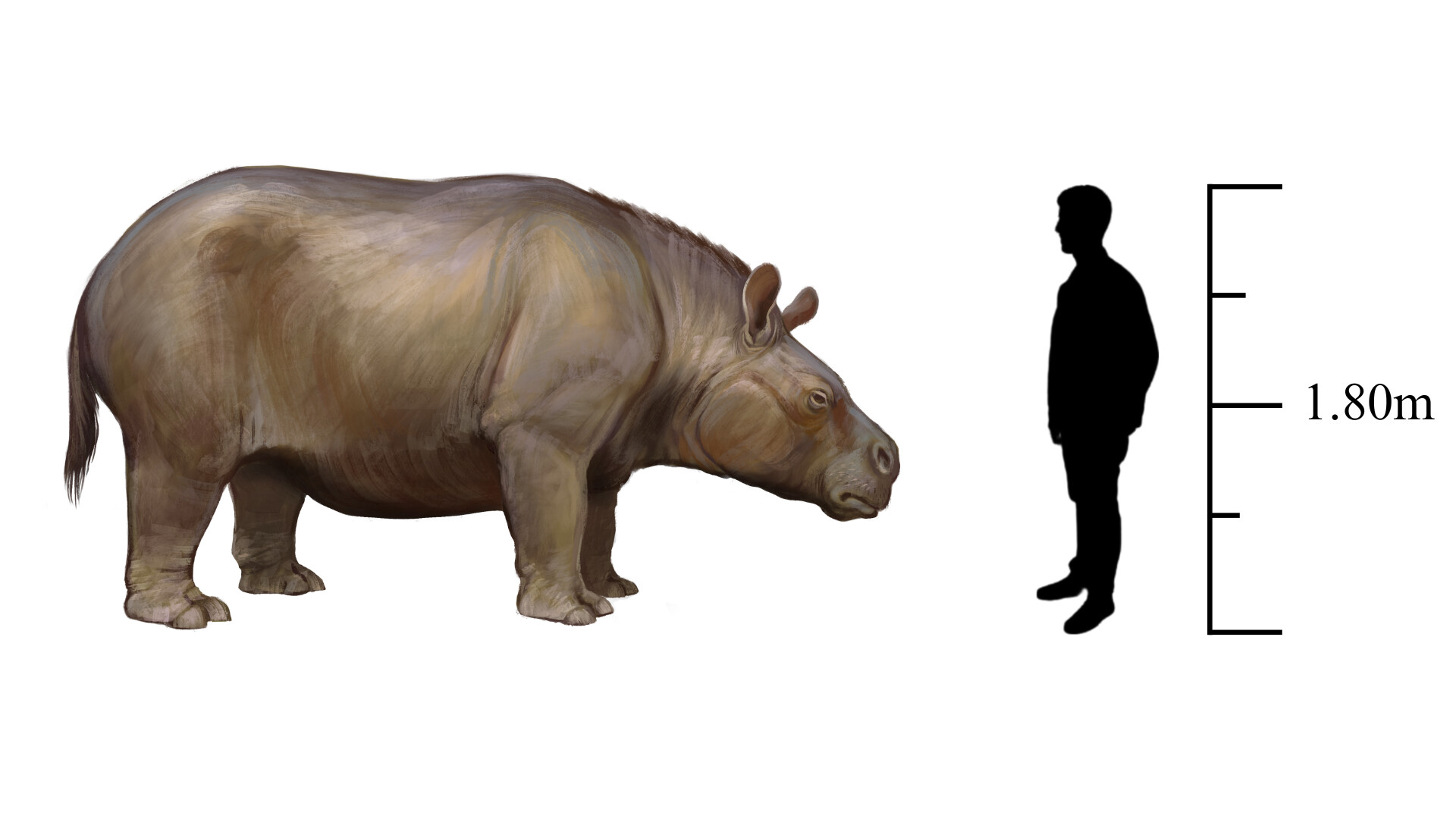 ArtStation - Paleoarte - Toxodonte