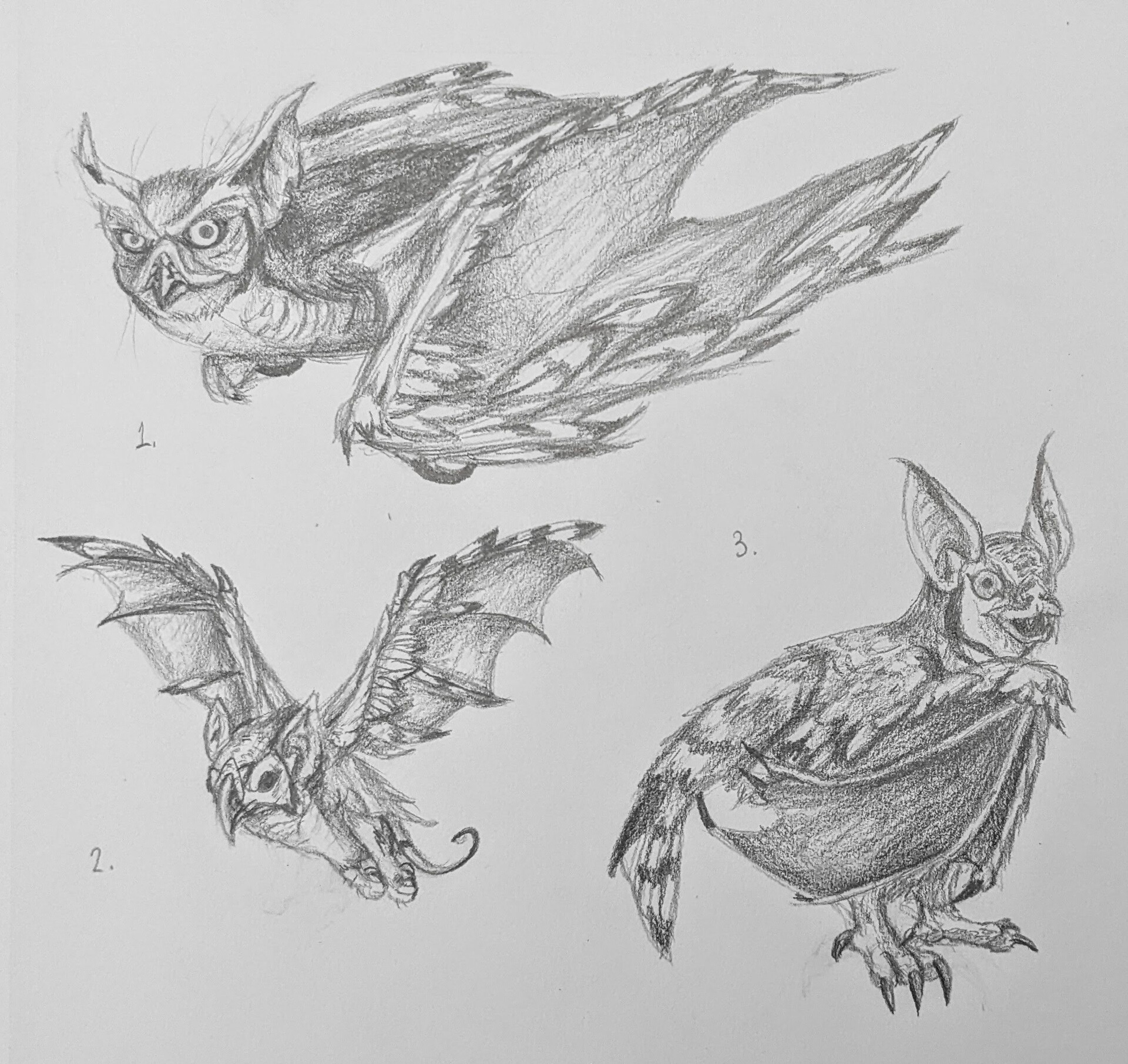 how to draw bat owl