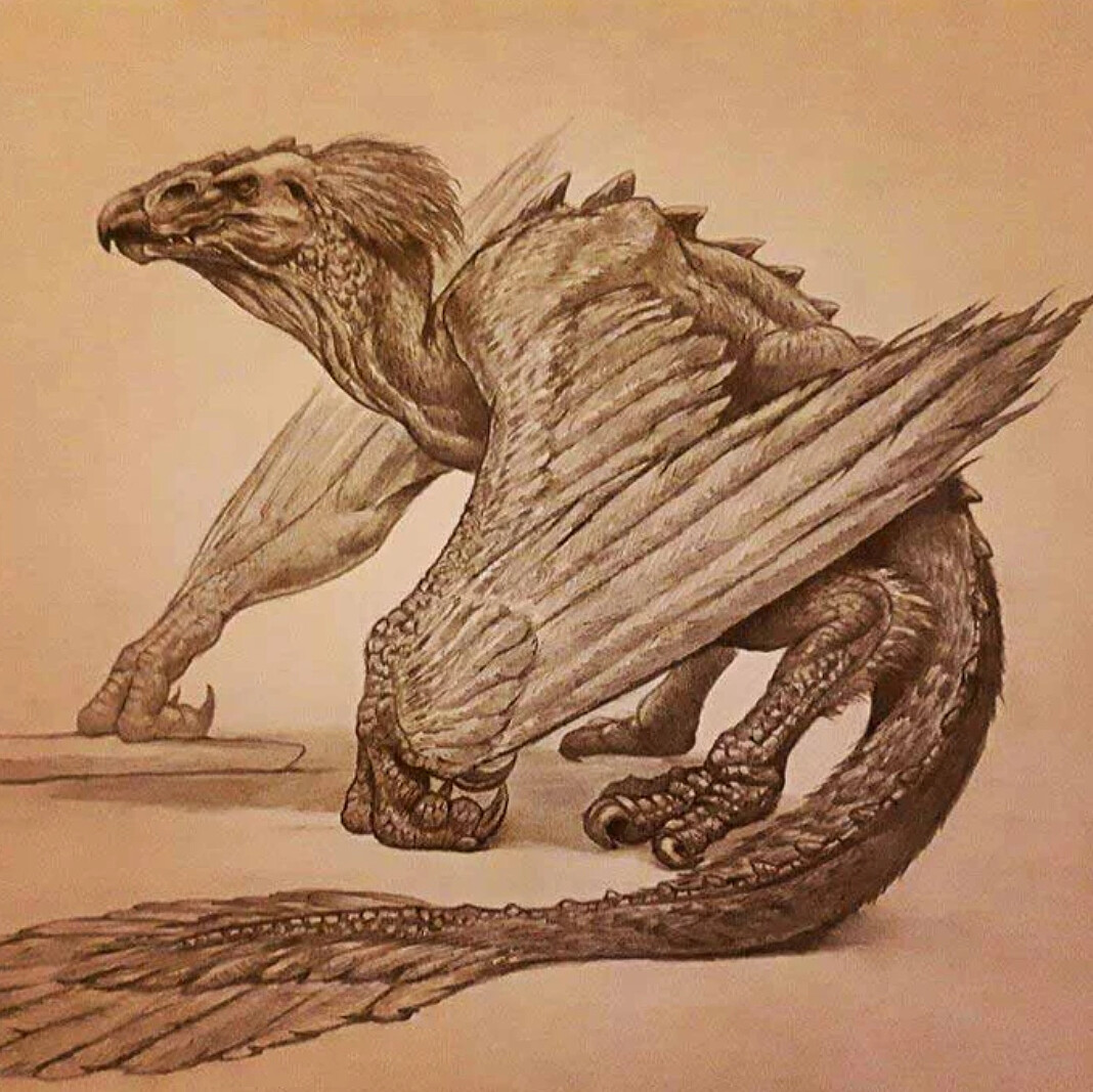 ArtStation - Vulture Drake