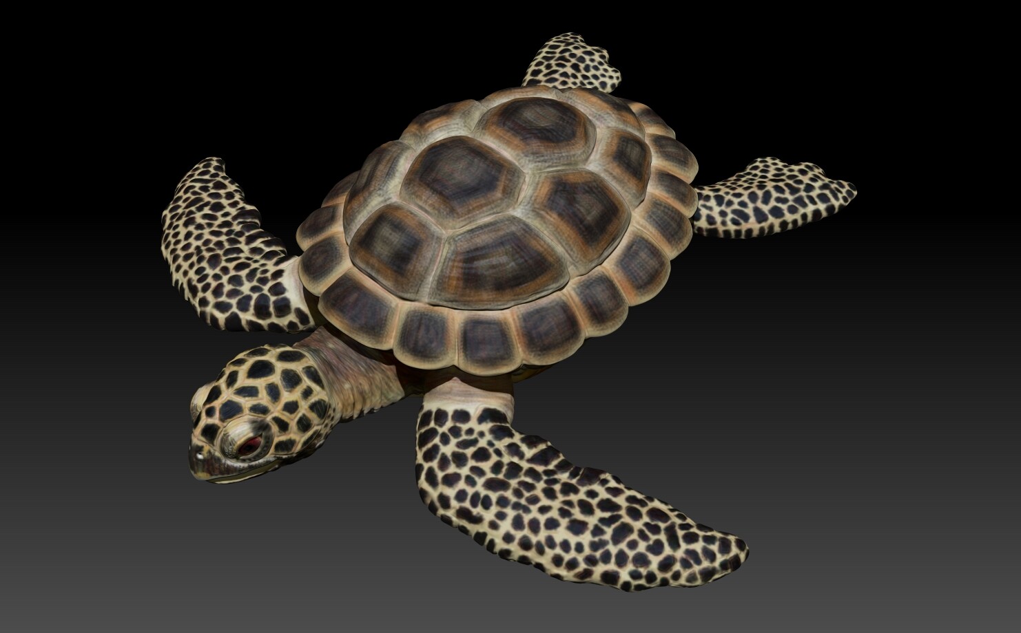 ArtStation - Turtle_01