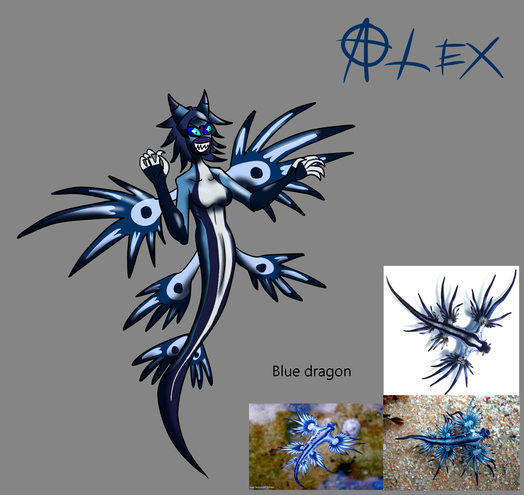 ArtStation - Sea slugs