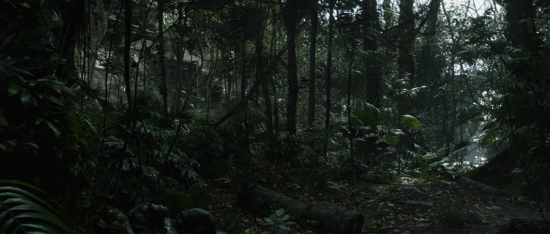 Erwan Wibratte - ICALI