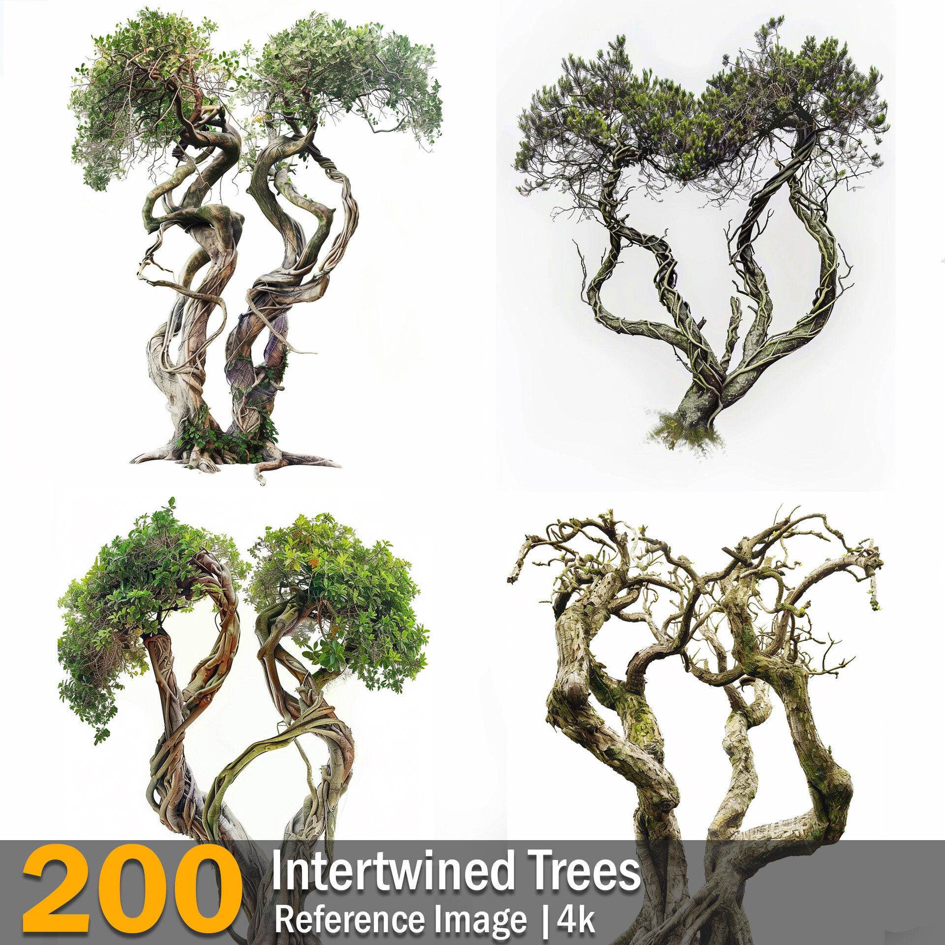 ArtStation - Intertwined Trees | Reference Images | 4K