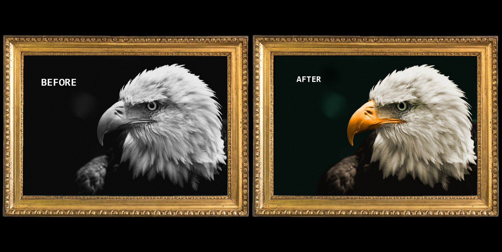 ArtStation - GRAYSCALE TO RGB