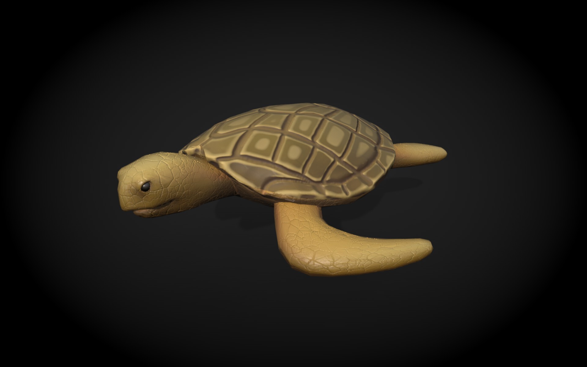 ArtStation - Turtle