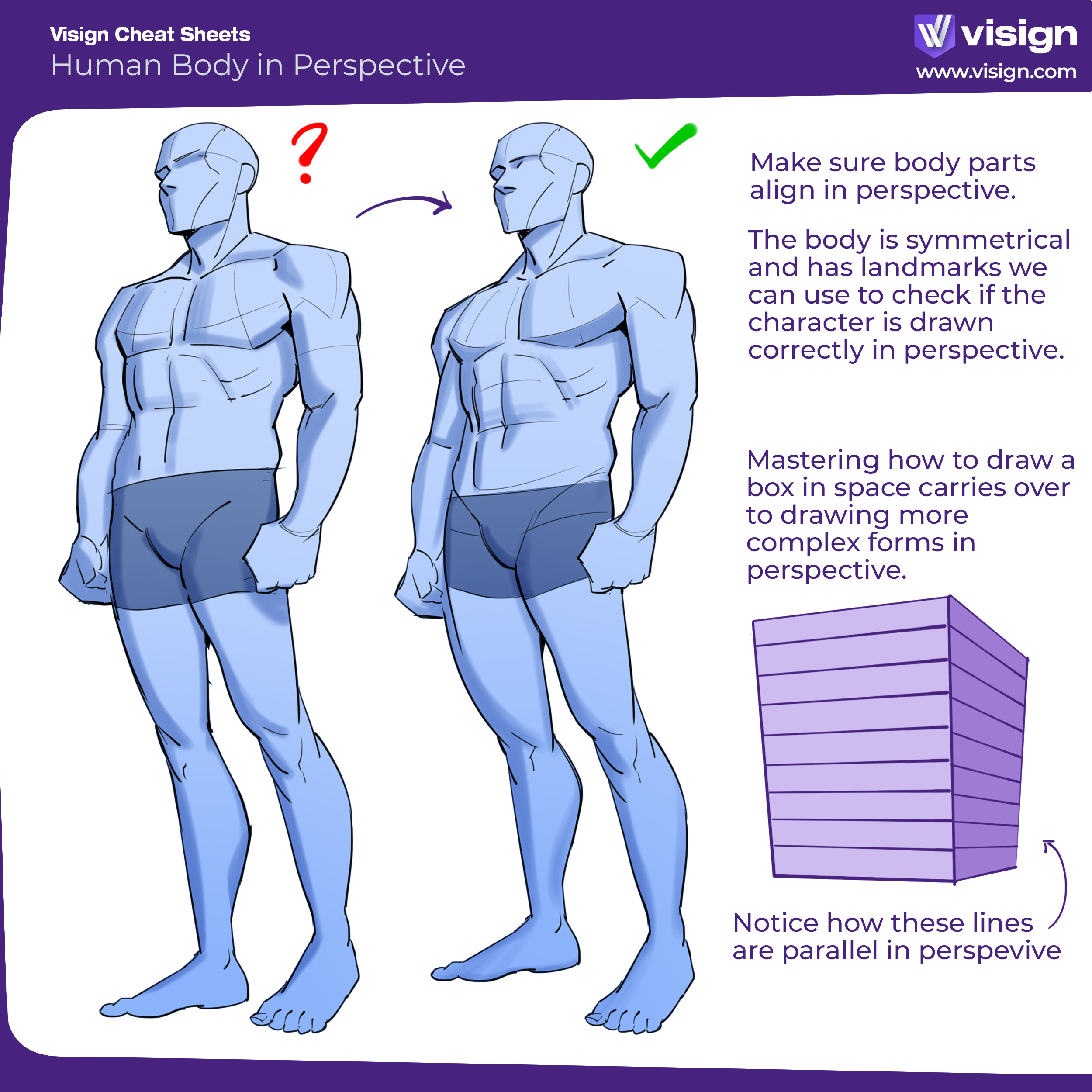 human body perspective