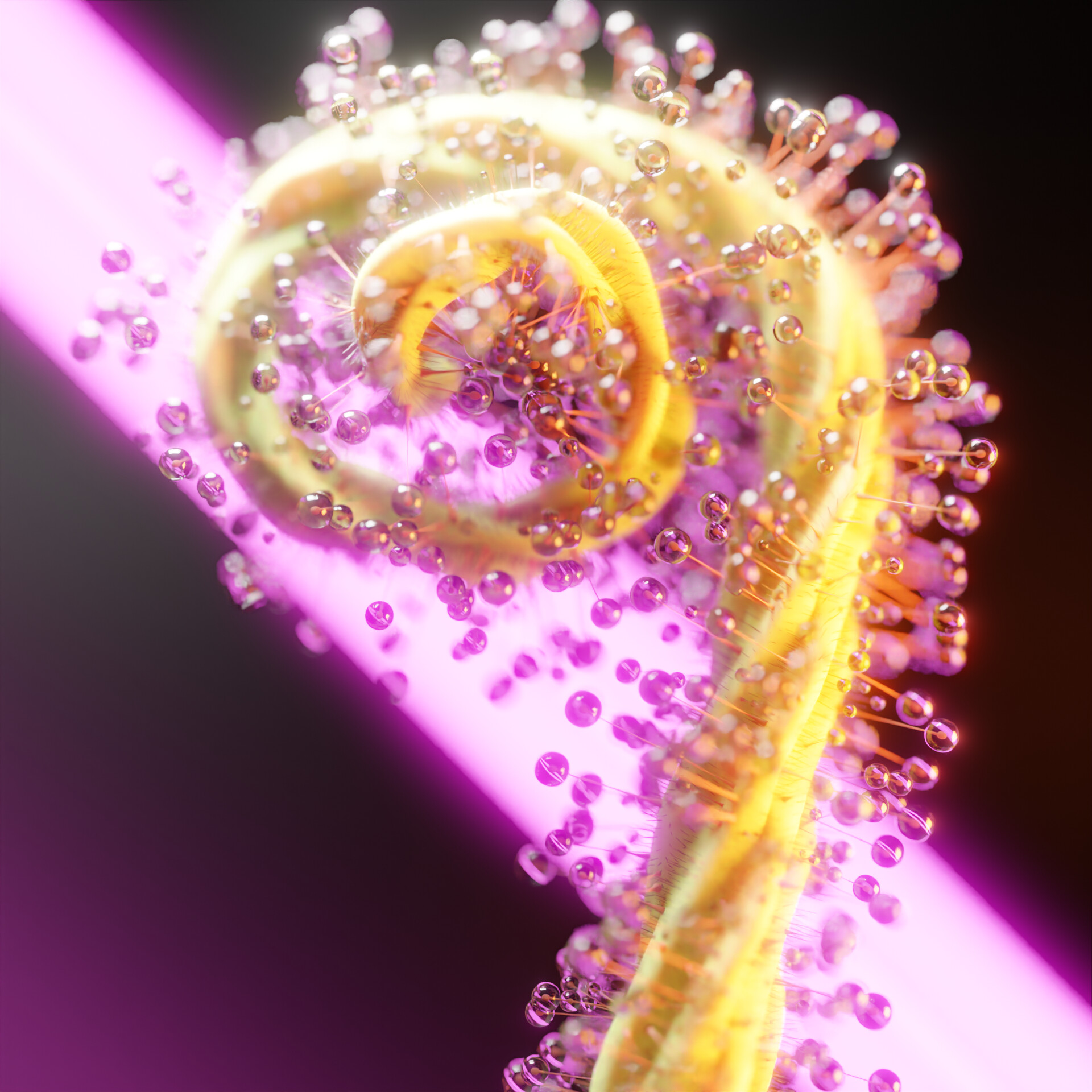 ArtStation - Flowers