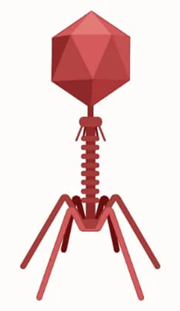 ArtStation - Bacteria Boy